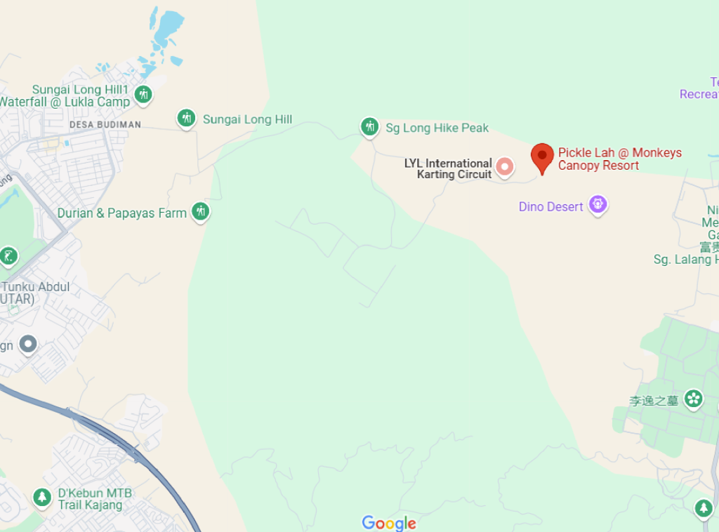 Milo Father's Day PickleBall Tournament 2025 - AOPG Focus Feature